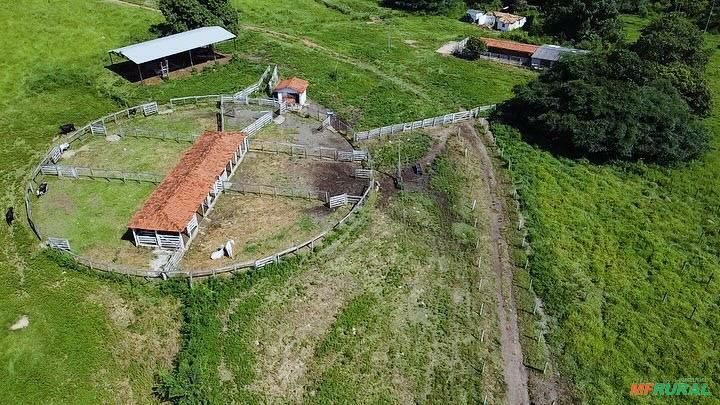 250 Hectares | Preço Venda Compra - MF Rural