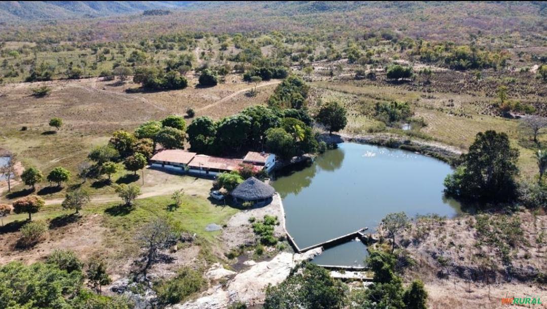 Fazendas / Imóveis Rurais em Goiás à venda com preço