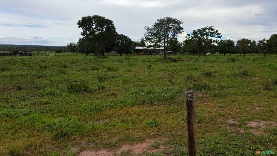 Arinos | Preço Venda Compra - MF Rural