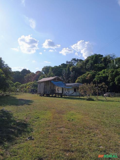 Sitios Produtivo | Preço Venda Compra - MF Rural