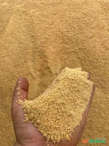 Soja em Paraguaçu Paulista - SP para Nutrição Animal à venda com