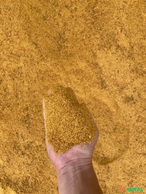 Ddg A Granel - 30% de Proteína em Mineiros GO à venda. Compre 842771