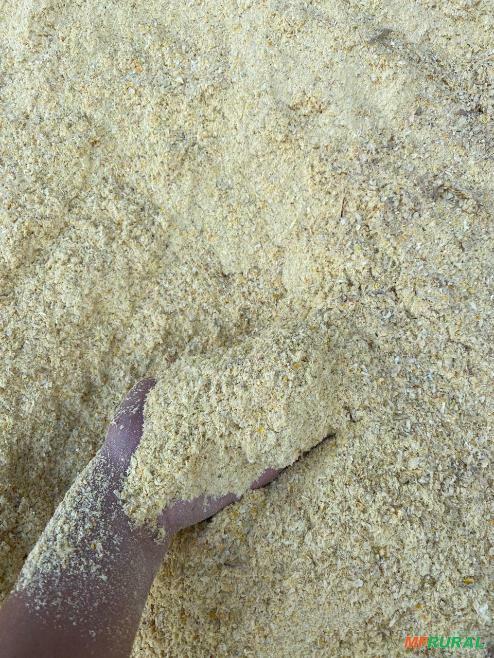 Inferencias Semanticas en Los Textos A Nivel Local Y - MF Rural