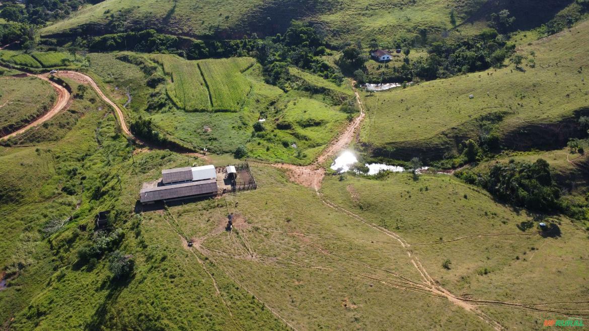 Fazenda em Minas Gerais - Rio Novo Com 530 Alqueires em Rio 856513