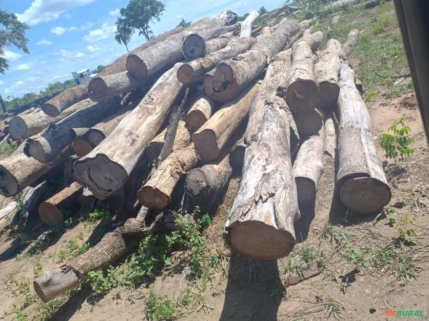 Venda de Toras de Madeira de Ipê - Alta Durabilidade E Qualidade 852521