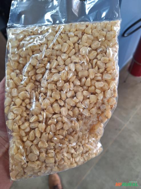 Milho Branco Para Canjica em Marilândia do Sul PR à venda. 856906