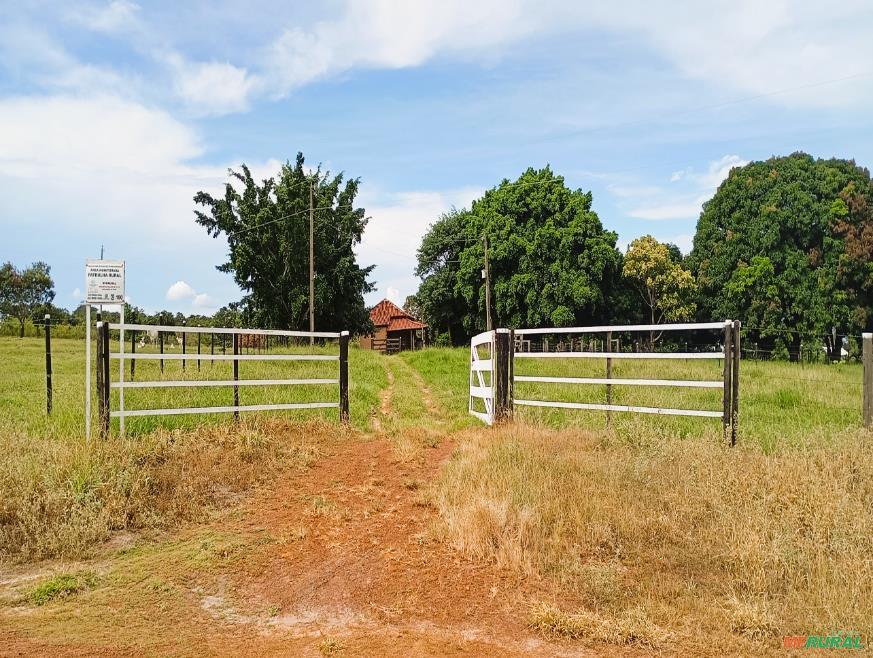 Outras em Goiás Fazendas à venda com preço