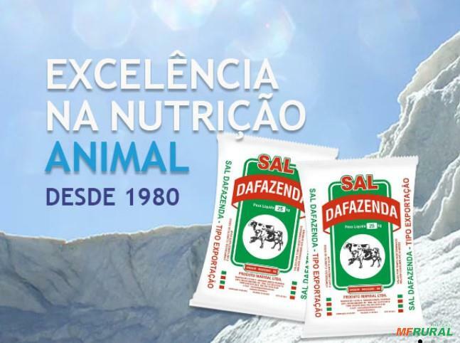 Sal Ideal | Preço Venda Compra - MF Rural