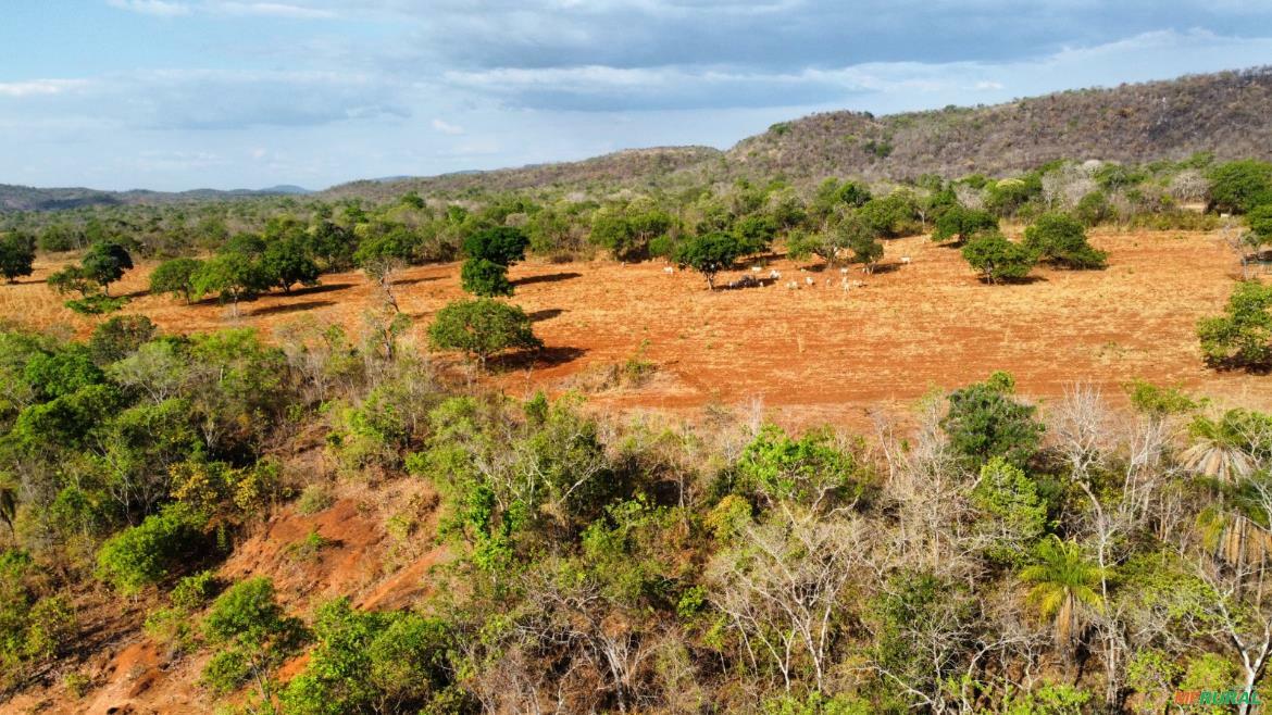 Porto Venda Imoveis | Preço Venda Compra - MF Rural