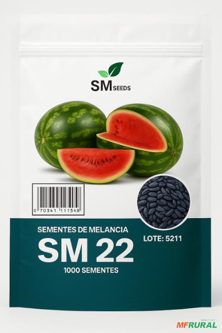 Melancia Produtividade Sementes Preço Venda Compra Mf Rural