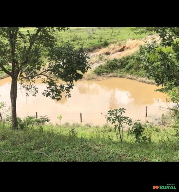 Fazenda Abadiania Go | Preço Venda Compra - MF Rural