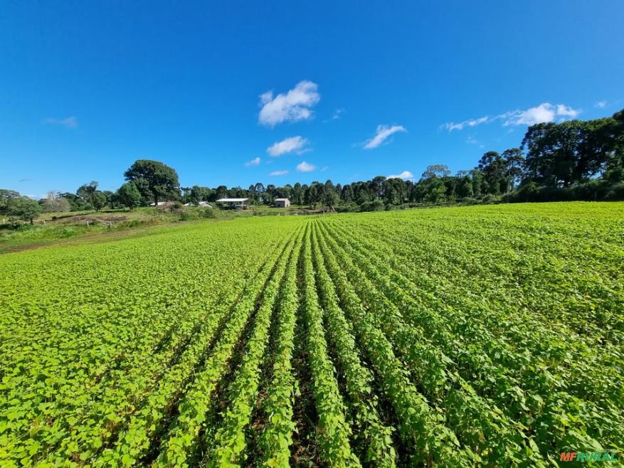Casas Pr | Preço Venda Compra - MF Rural