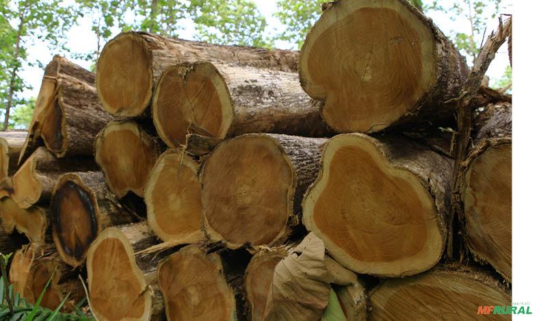 Venda de Madeira Teca - Tipo Exportação em Redenção PA à venda. 803602