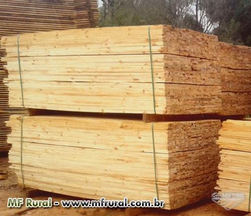 Madeira Pinus | Preço Venda Compra - MF Rural