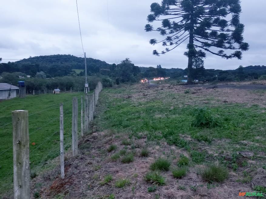 Vende-Se Área Rural em Guarapuava PR à venda. Compre direto 783086