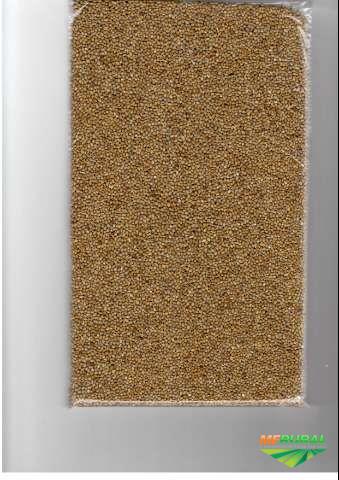 Milheto | Preço Venda Compra - MF Rural