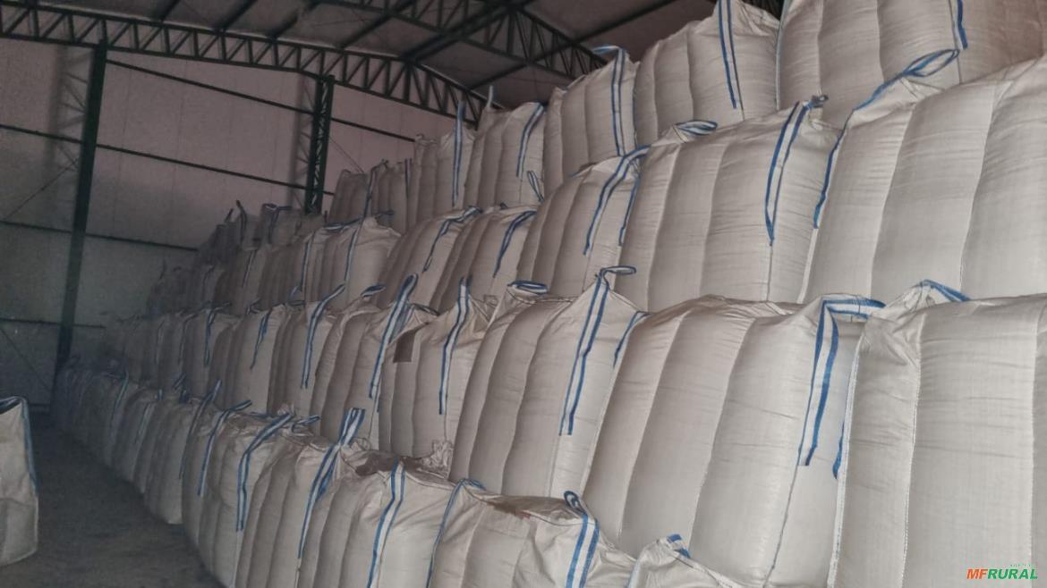 Sacos Especiais no Piauí à venda com preço