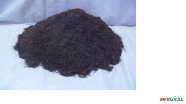 Turfa Cot | Preço Venda Compra - MF Rural