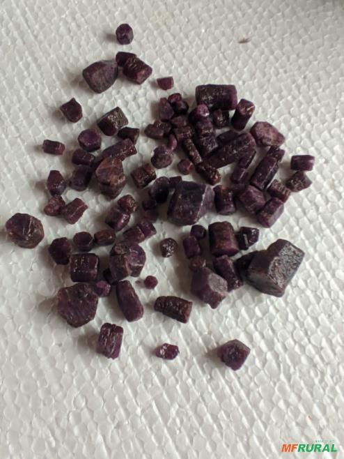 Rubi Bruto | Preço Venda Compra - MF Rural