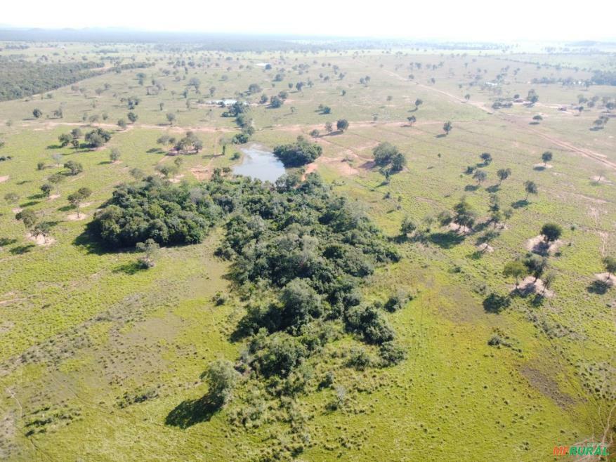 Fazendas no Mato Grosso do Sul - Fazendas / Imóveis Rurais