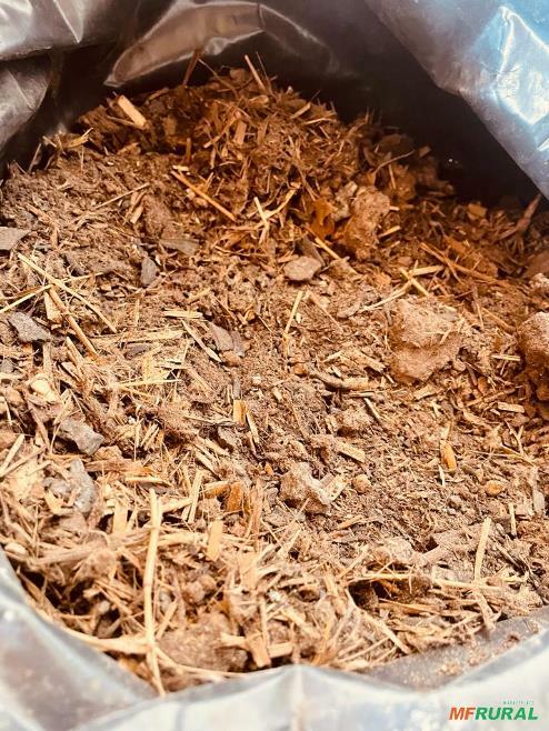 Abudo Orgânico em Cuiabá MT à venda. Compre direto do vendedor 626611