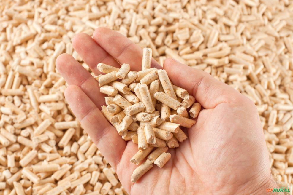 Pellet Padrao | Preço Venda Compra - MF Rural