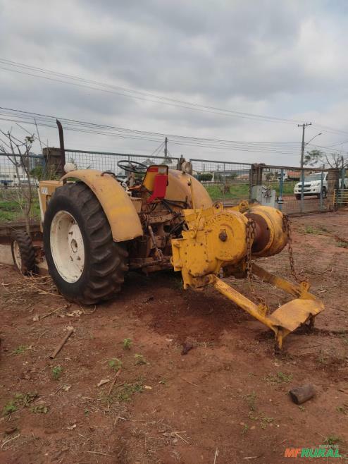 Cbt Rabicho | Preço Venda Compra - MF Rural