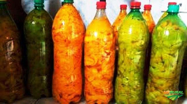 Pequi em Conserva em Montes Claros MG à venda. Compre direto 277411