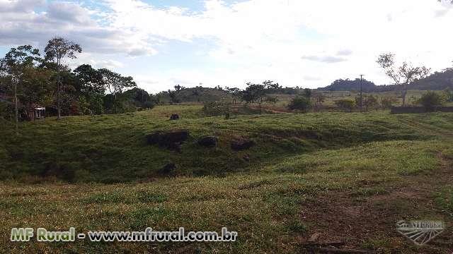 Venda Sitios em Rondônia | Preço Venda Compra - MF Rural