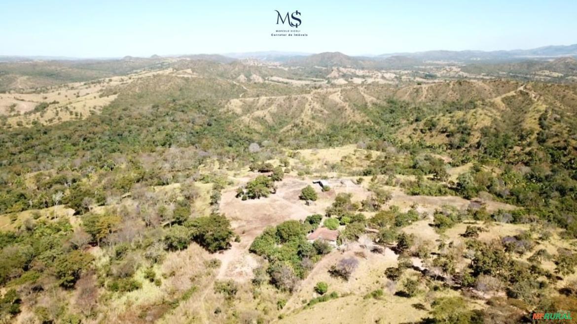 Fazendas em Goiás à venda com preço