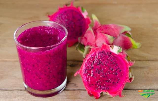 Pitaya Congelada em Cambuí MG à venda. Compre direto do vendedor 280098