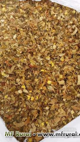 Milho no Paraná | Preço Venda Compra Pág 2 - MF Rural