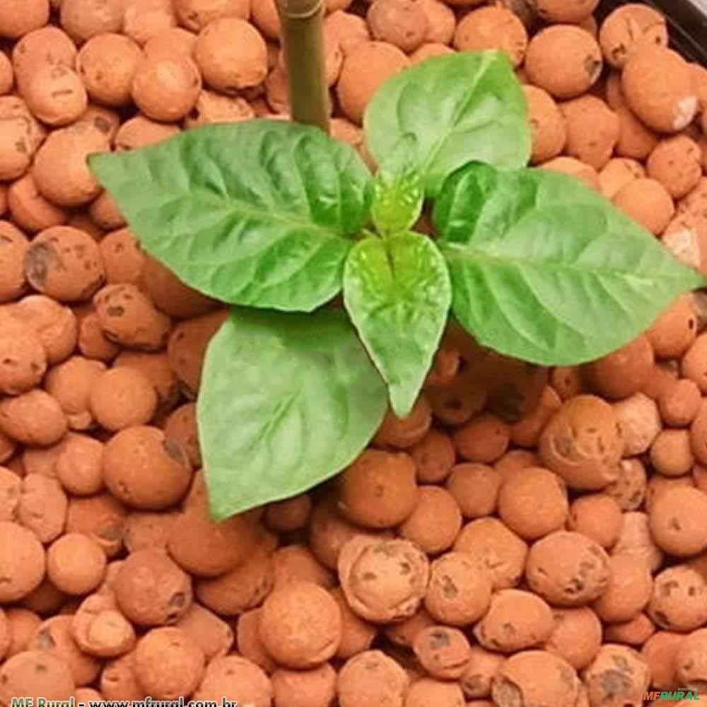 Argila Expandida Media 1,2 kg Unica em Tiete SP à venda. Compre 645290