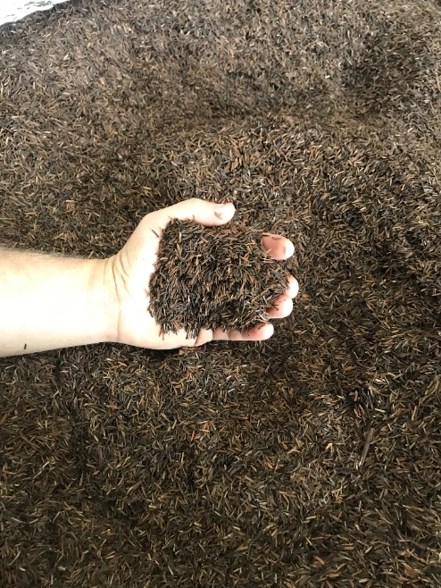 Casca de Arroz Carbonizada em Araranguá SC à venda. Compre 83223