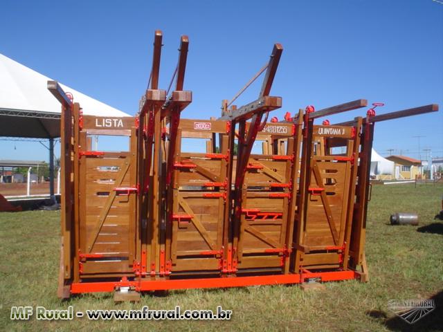 Tronco Bovinos em São Paulo | Preço Venda Compra - MF Rural